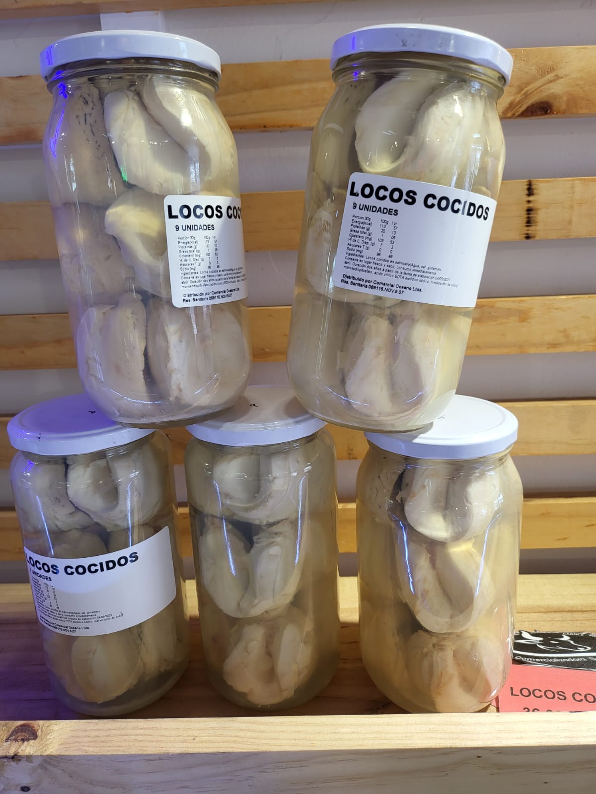 LOCOS COCIDOS 9 unid (frasco 1kg.) - Comercializadora San Marco SPA